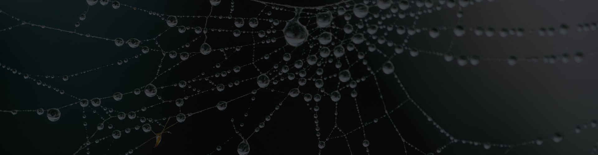 What’s a web portal and how does it work | Azoft